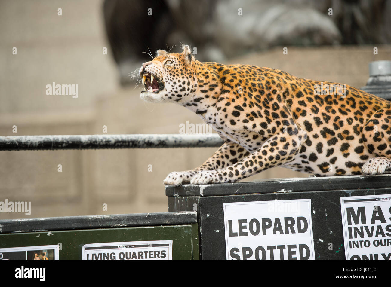 Nat Geo WILD unveils the world’s first hyper realistic animatronic ...