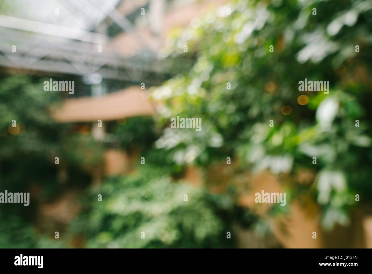 Defocused abstract nature garden background with bokeh lights. Blurred ...