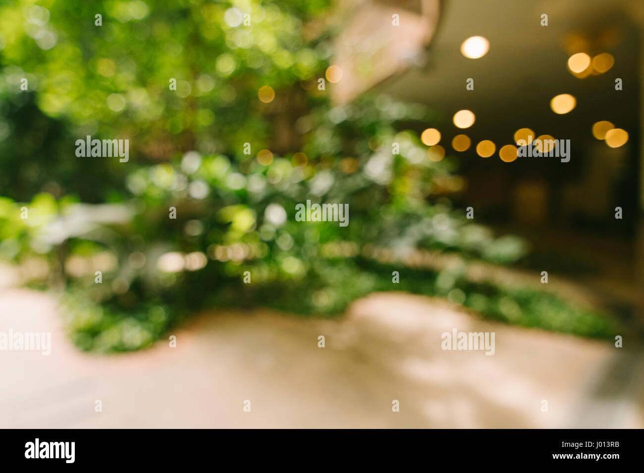 Defocused abstract nature garden background with pathway. Blurred ...