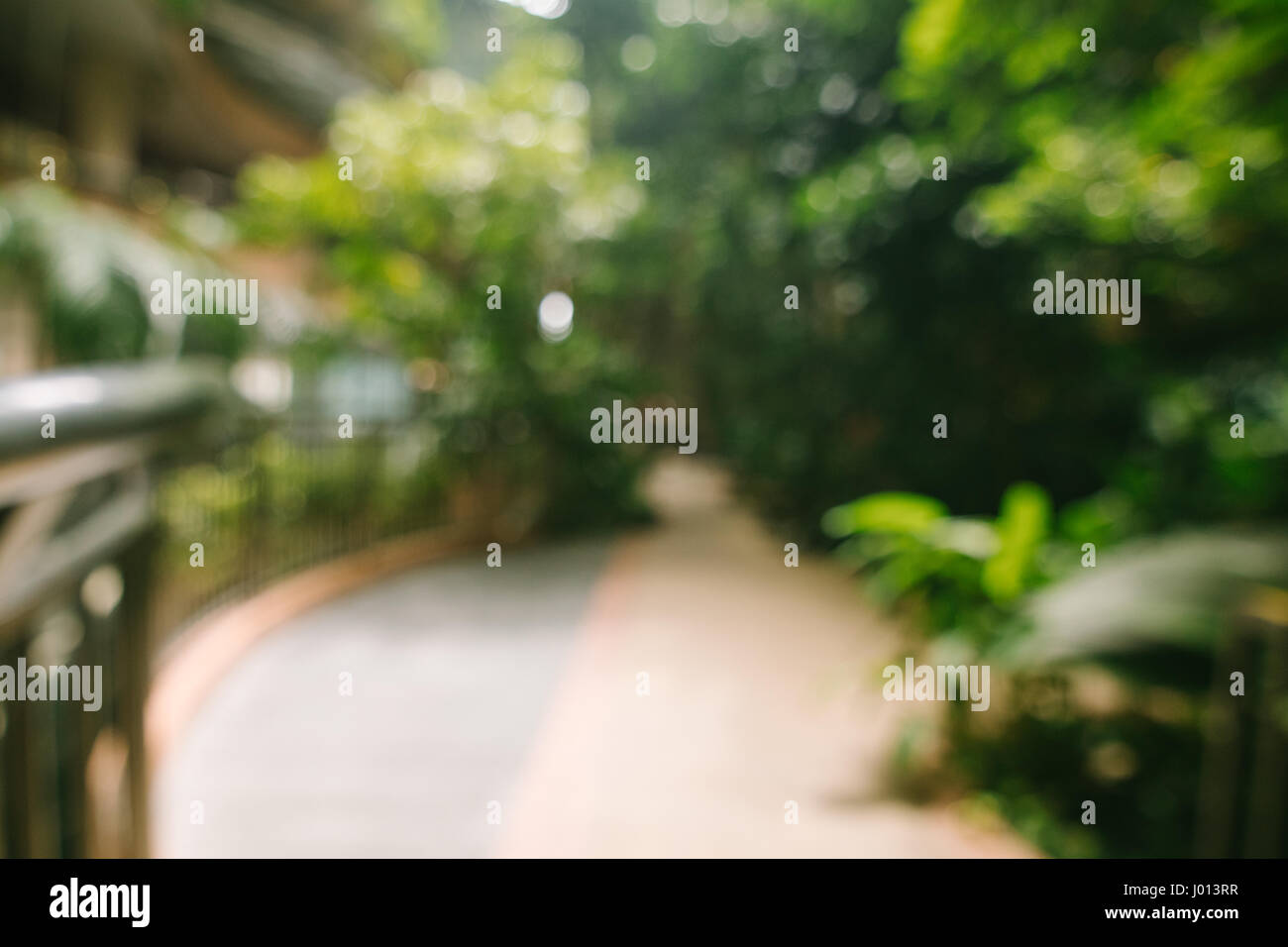Defocused abstract nature garden background with pathway. Blurred ...