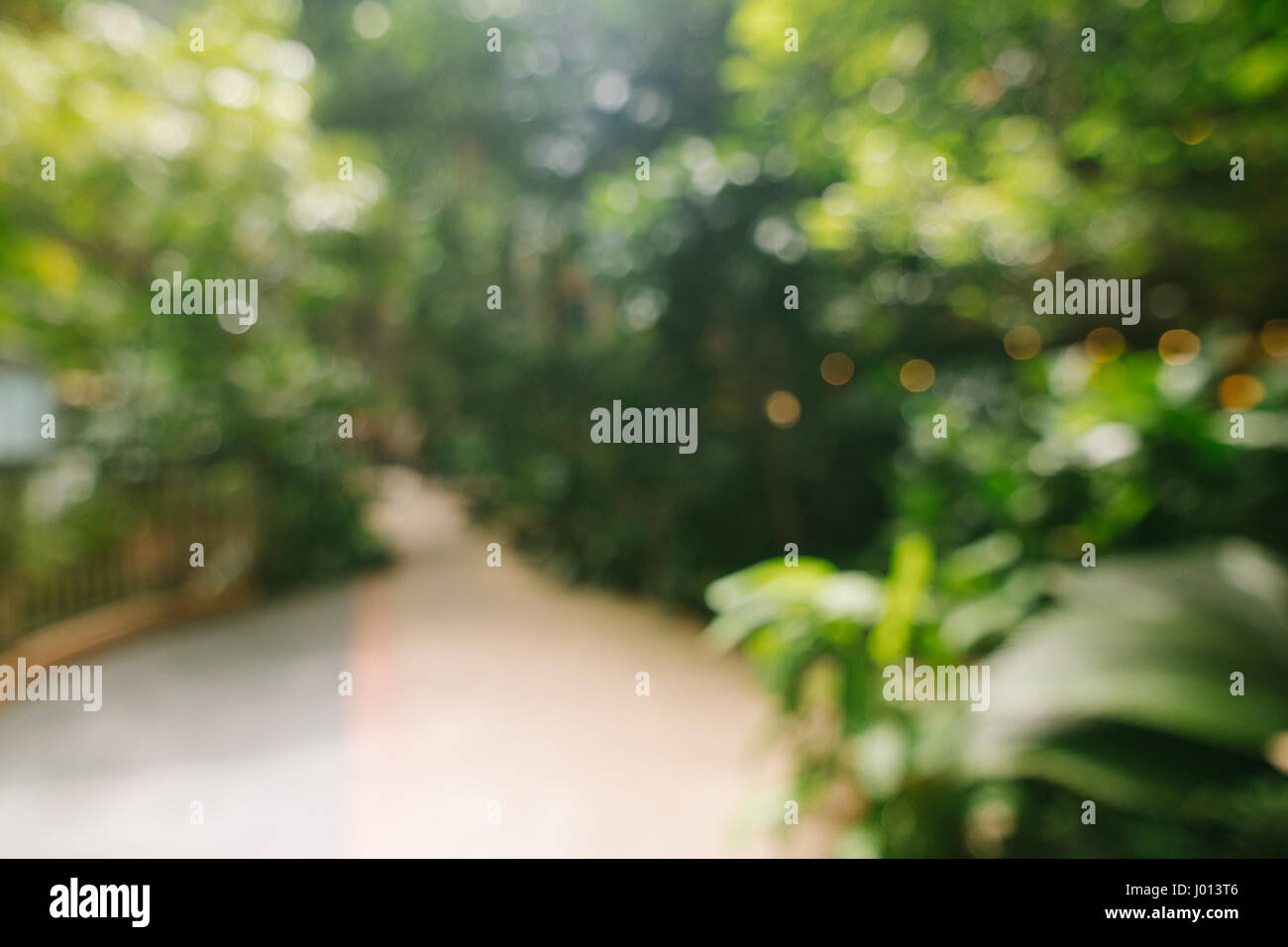 Defocused abstract nature garden background with pathway. Blurred ...
