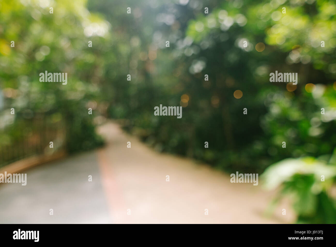 Defocused abstract nature garden background with pathway. Blurred ...
