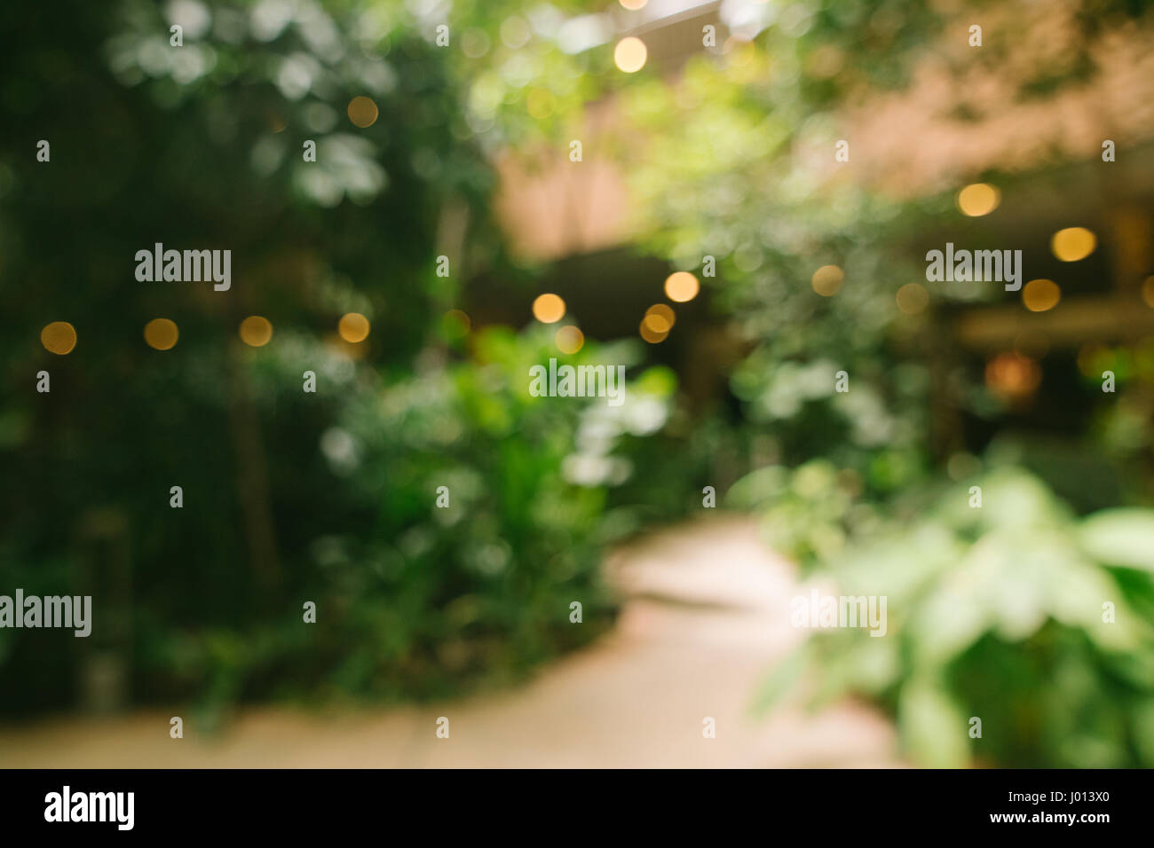 Defocused abstract nature garden background with pathway. Blurred ...