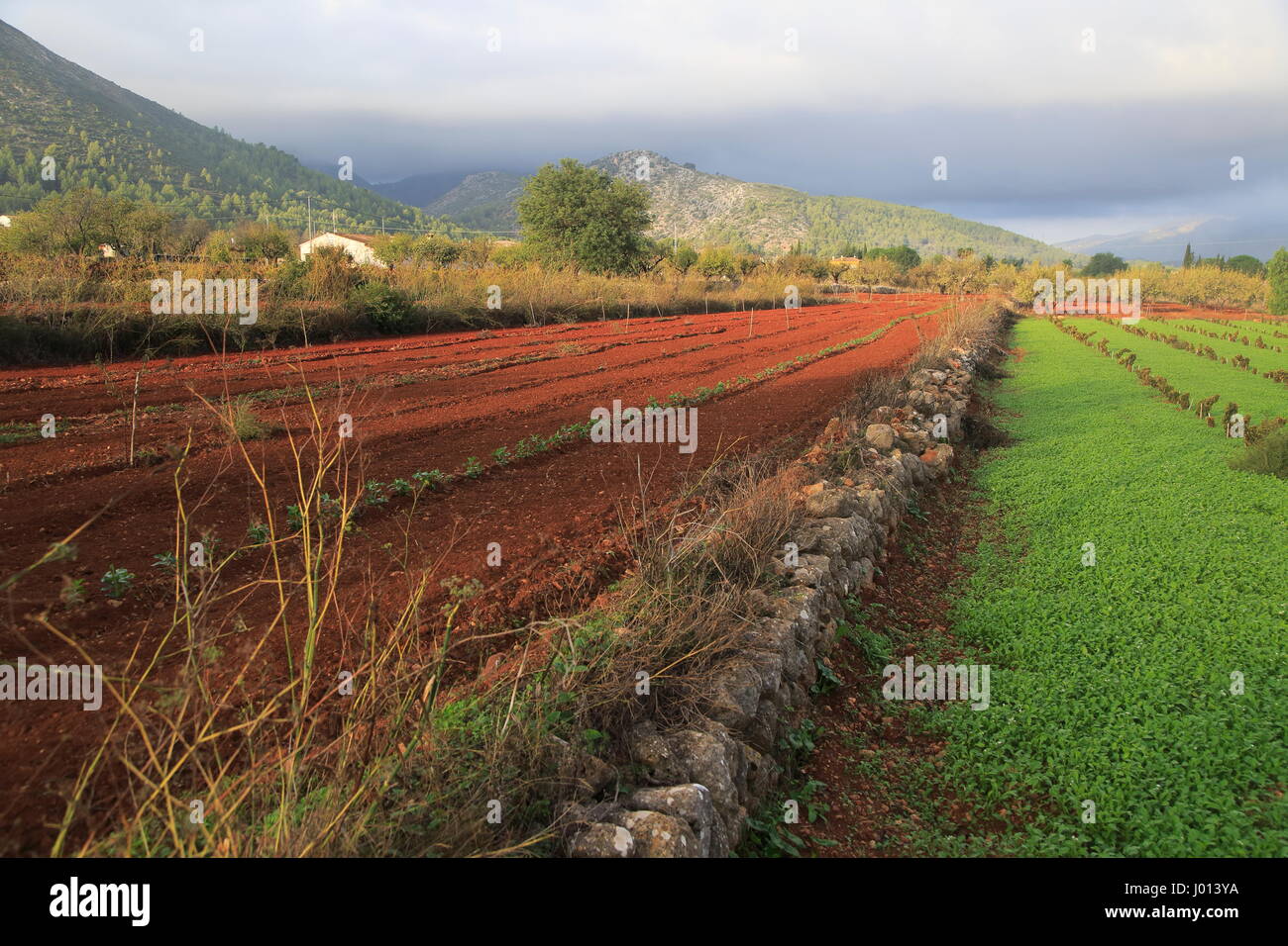 Marina rossa hi-res stock photography and images - Alamy