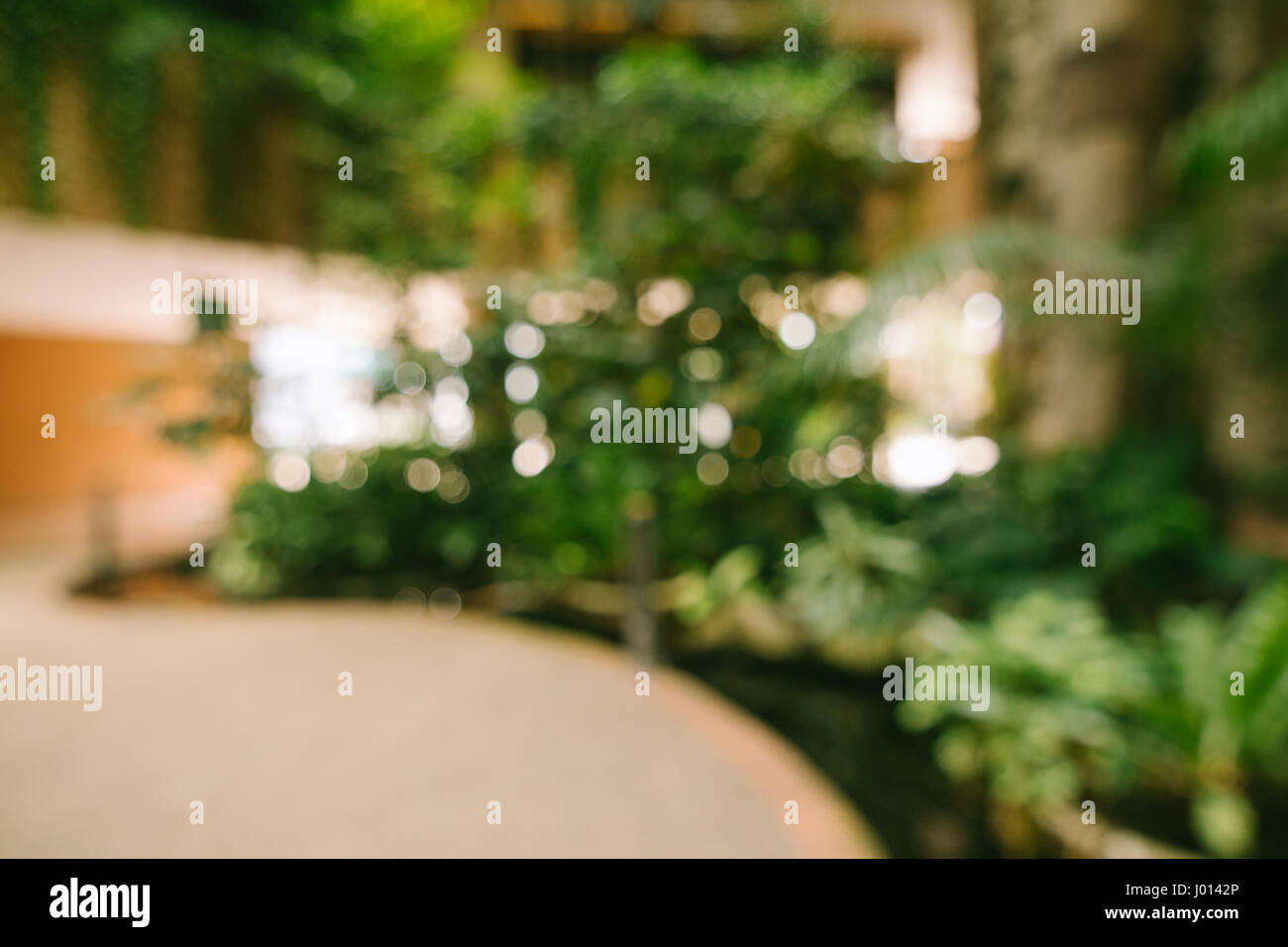 Defocused abstract nature garden background with pathway. Blurred ...