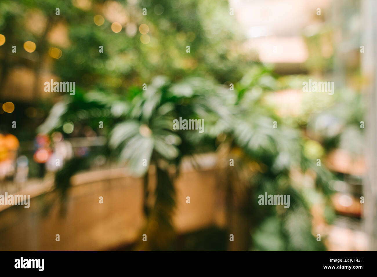 Defocused abstract nature garden background with bokeh lights. Blurred ...