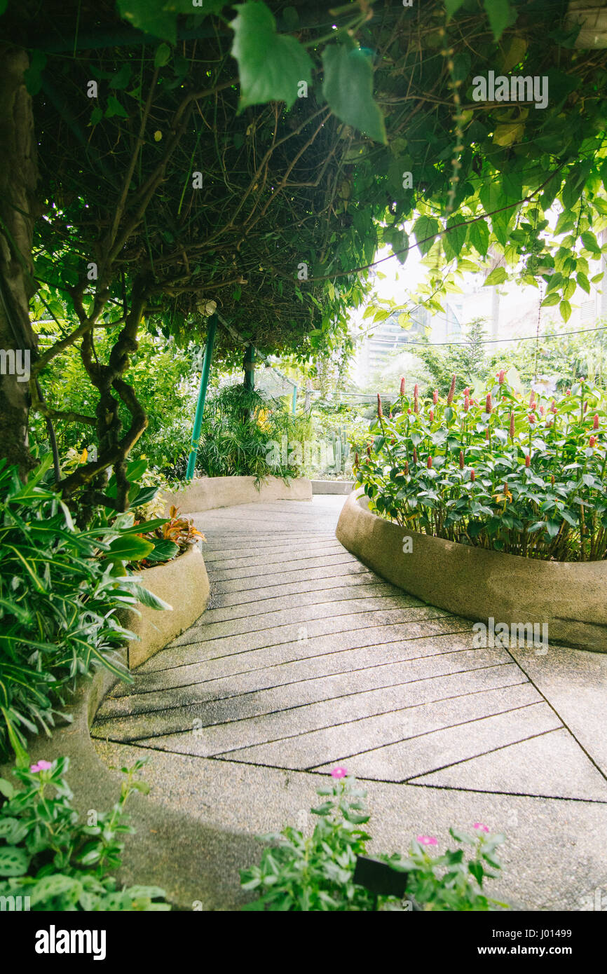 Nature green walk pathway. Garden walkway Stock Photo - Alamy