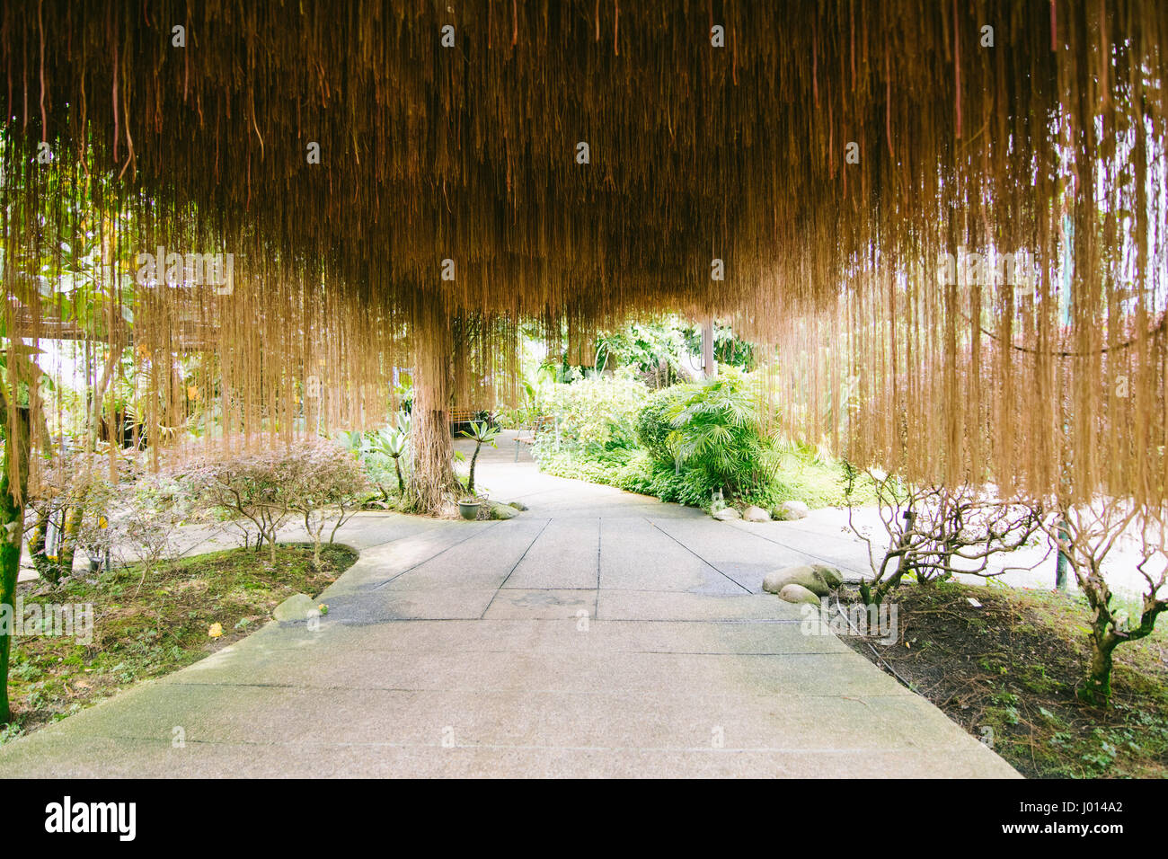Beautiful nature walk pathway. Garden walkway Stock Photo - Alamy