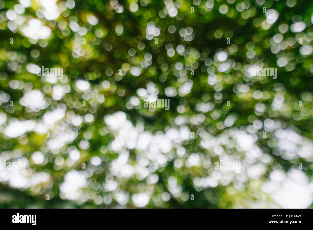 Bokeh green background hi-res stock photography and images - Alamy