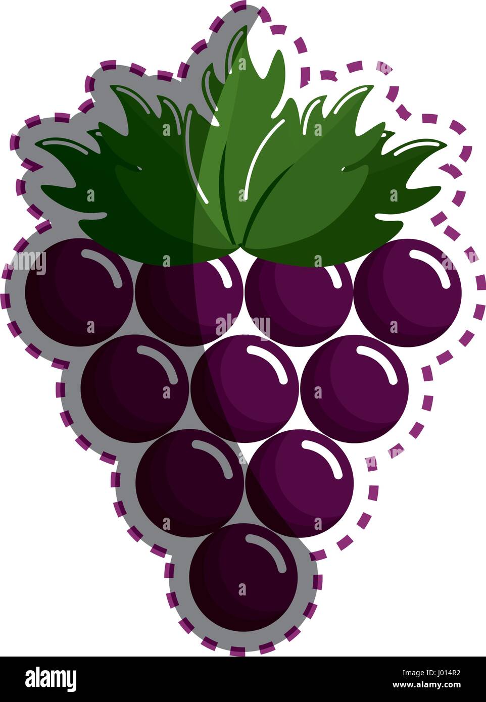 sticker grape cluster icon image Stock Vector Image & Art - Alamy