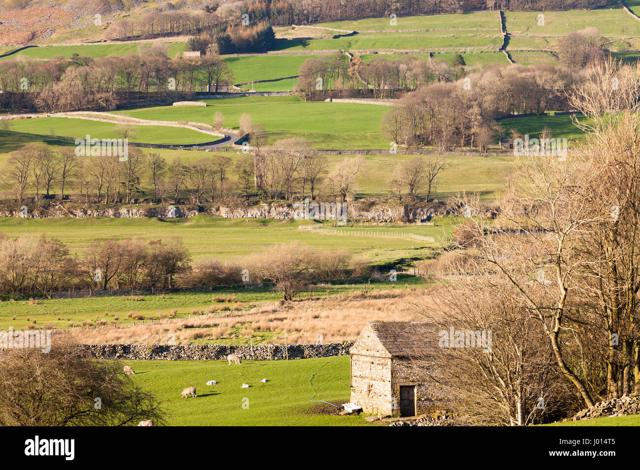 The rolling Yorkshire Dales near the market town of Hawes in the ...