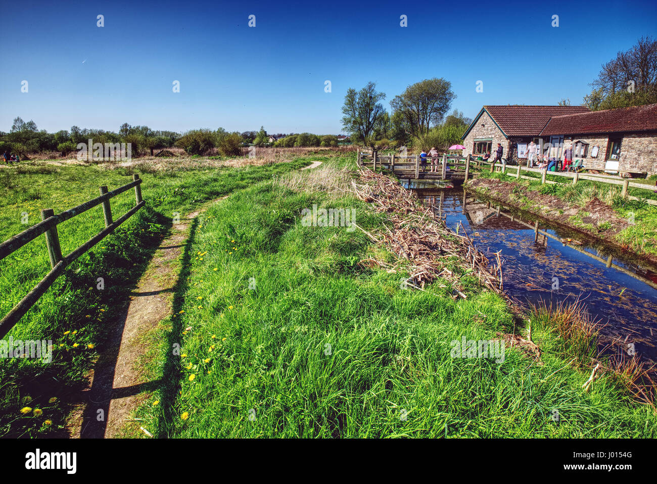 Magor marsh nature reserve hi-res stock photography and images - Alamy