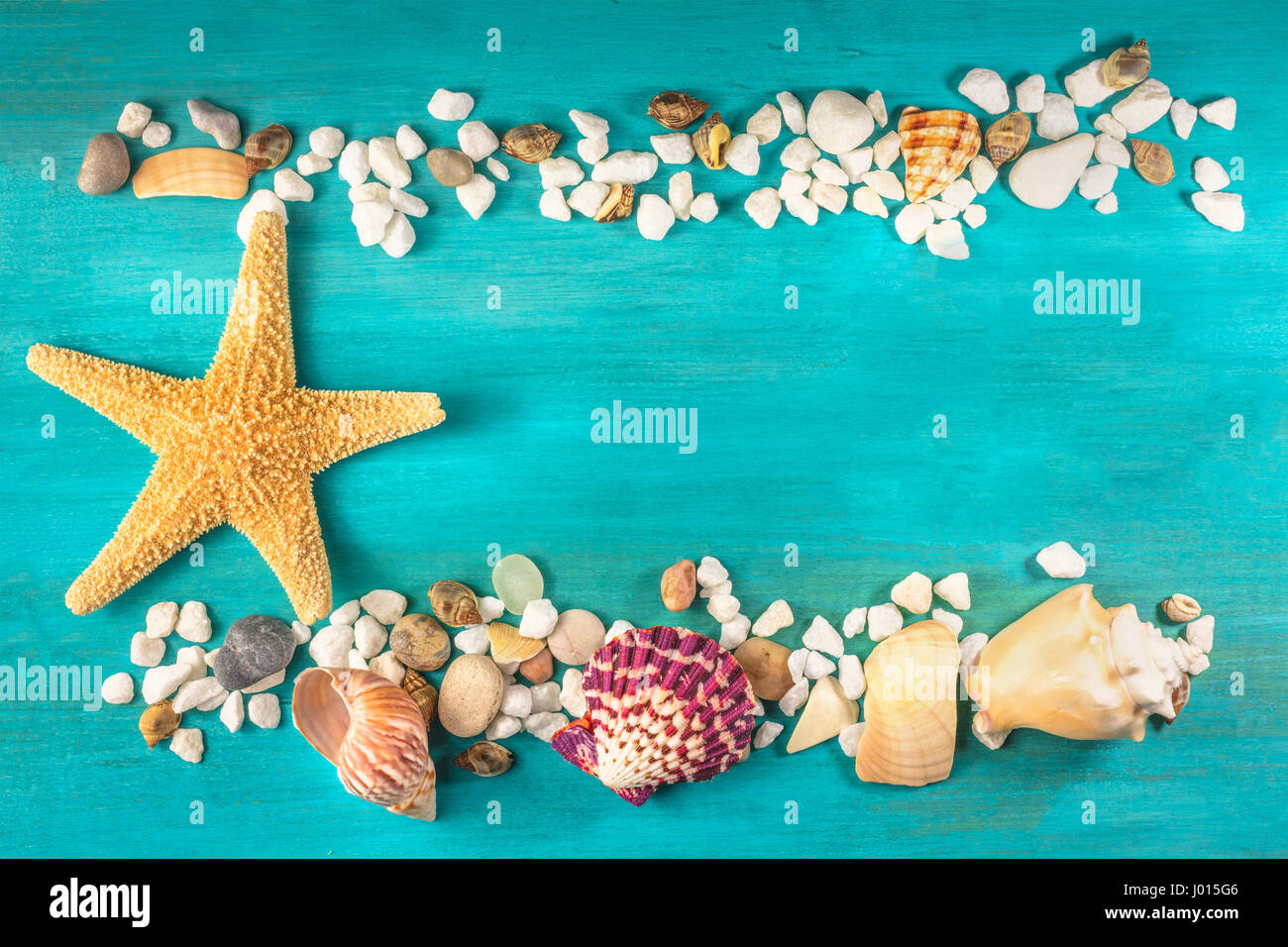 An overhead photo of a sea star, sea shells, and pebbles forming a ...