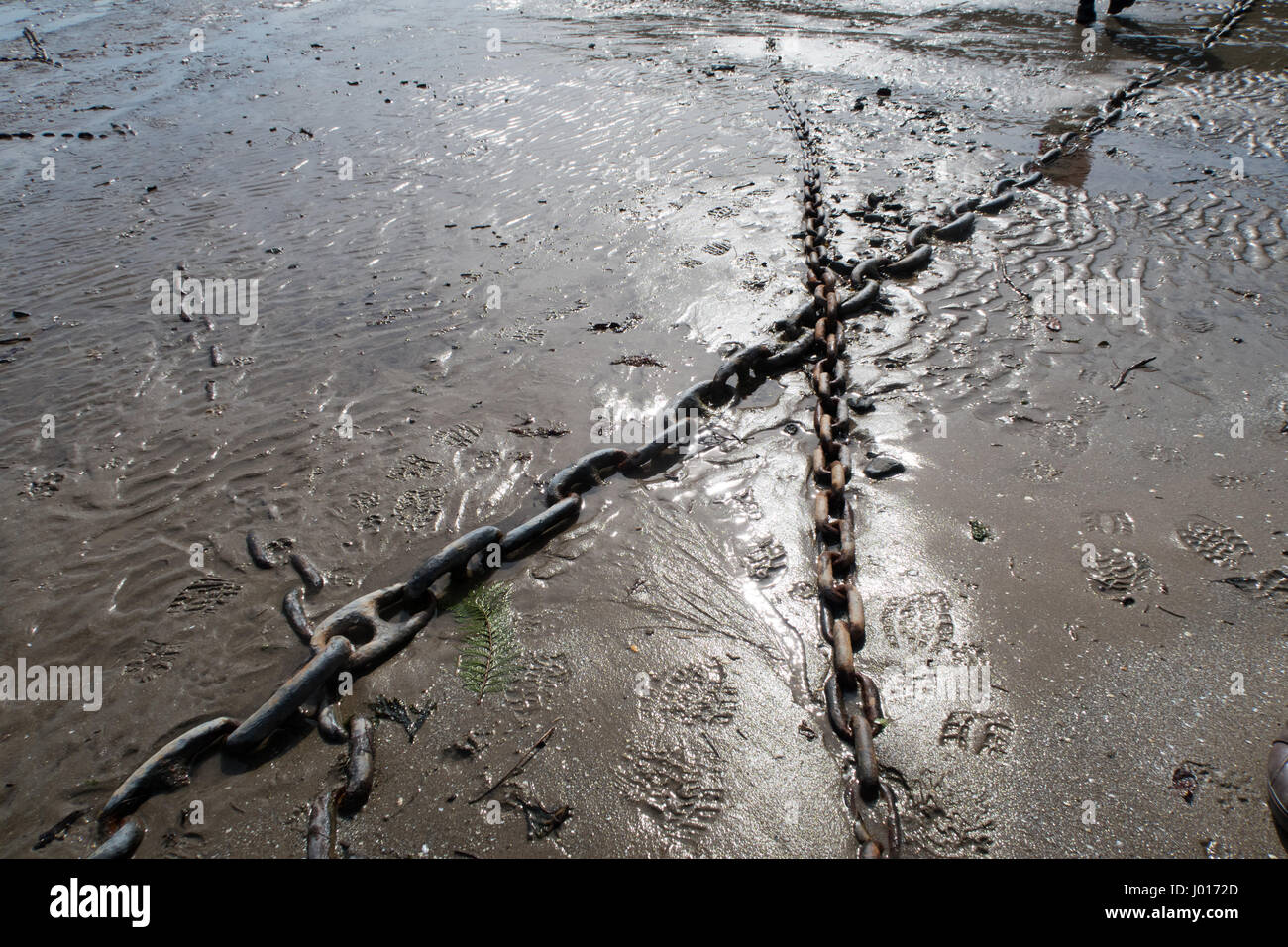 Sandy beach scene with lots of big chains for anchoring boats Stock ...