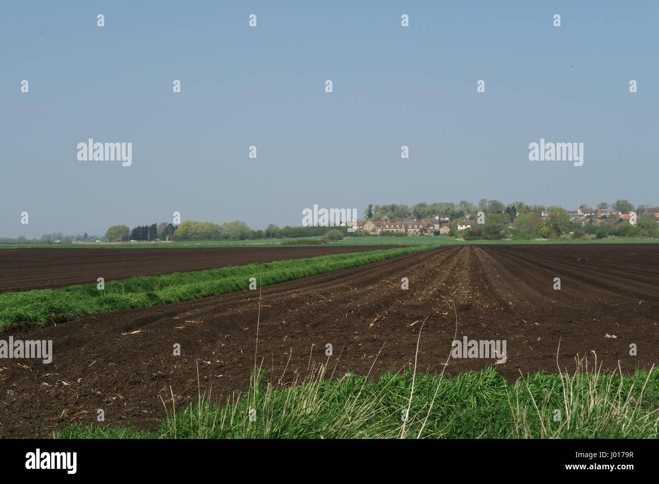 Newly ploughed fields on South Fen with the village of Sutton-in-the ...
