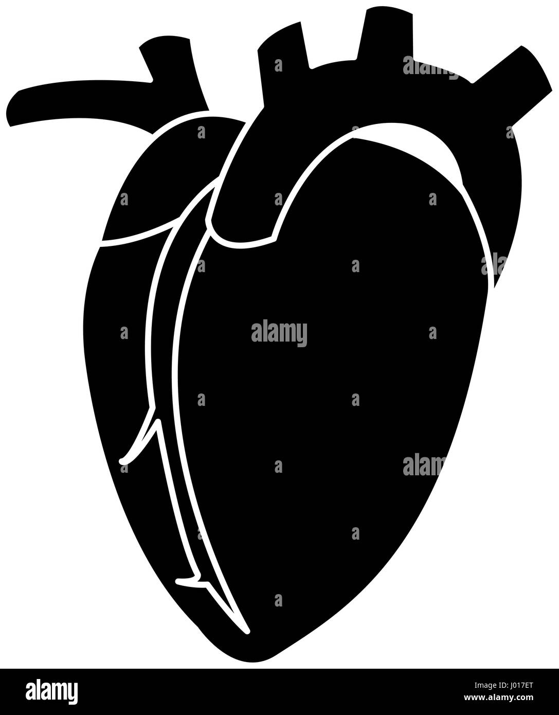 human heart icon image Stock Vector Image & Art - Alamy