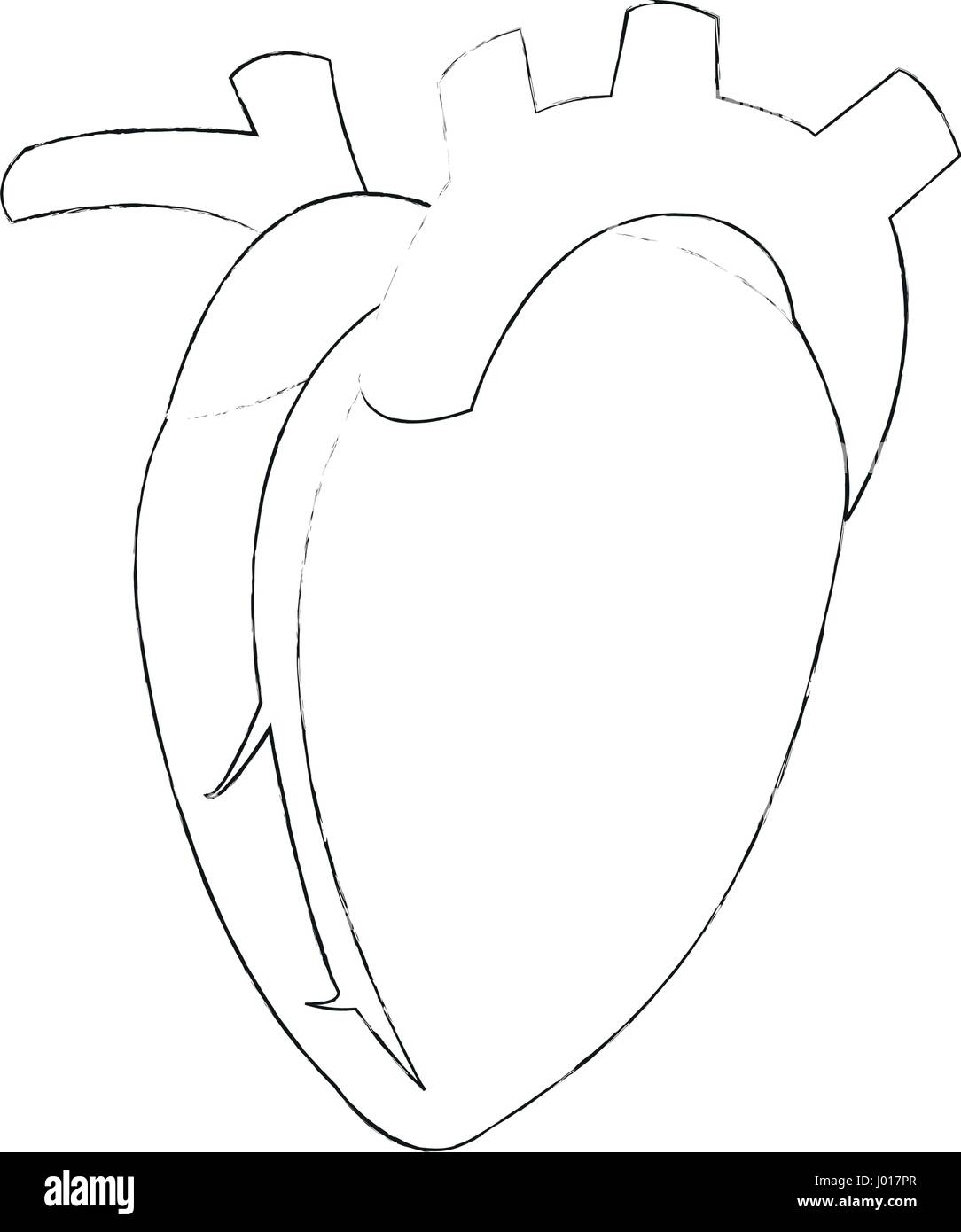 human heart icon image Stock Vector Image & Art - Alamy