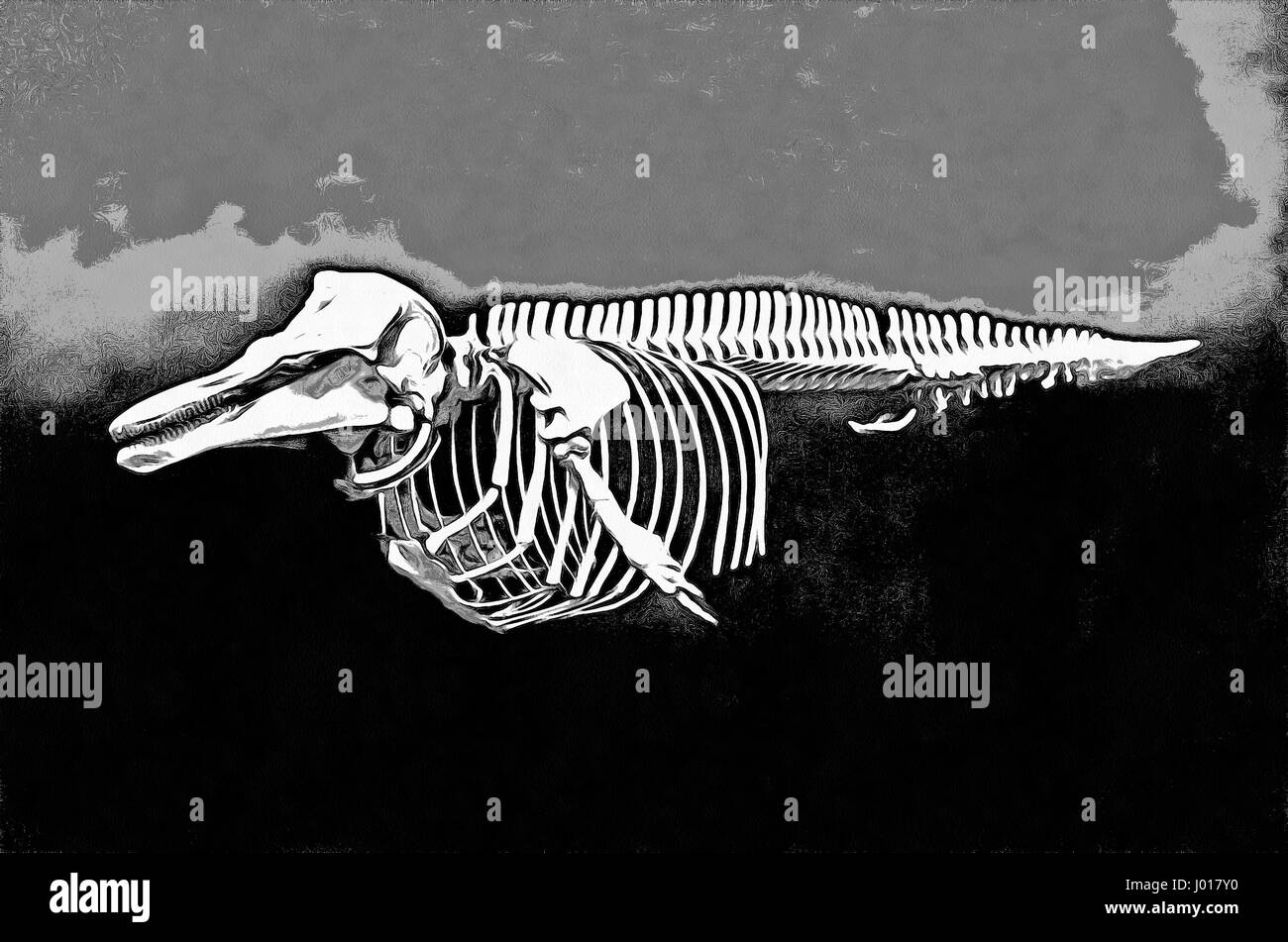 Skeleton painting Black and White Stock Photos & Images - Alamy