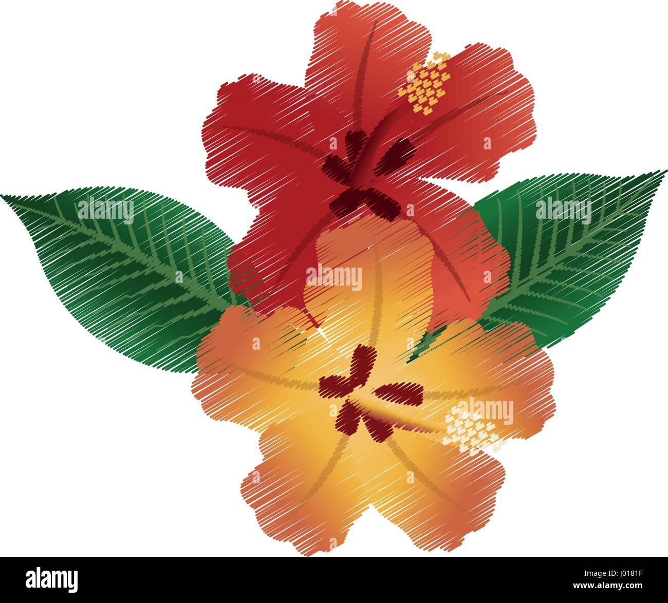 tropical flower icon image Stock Vector Image & Art - Alamy