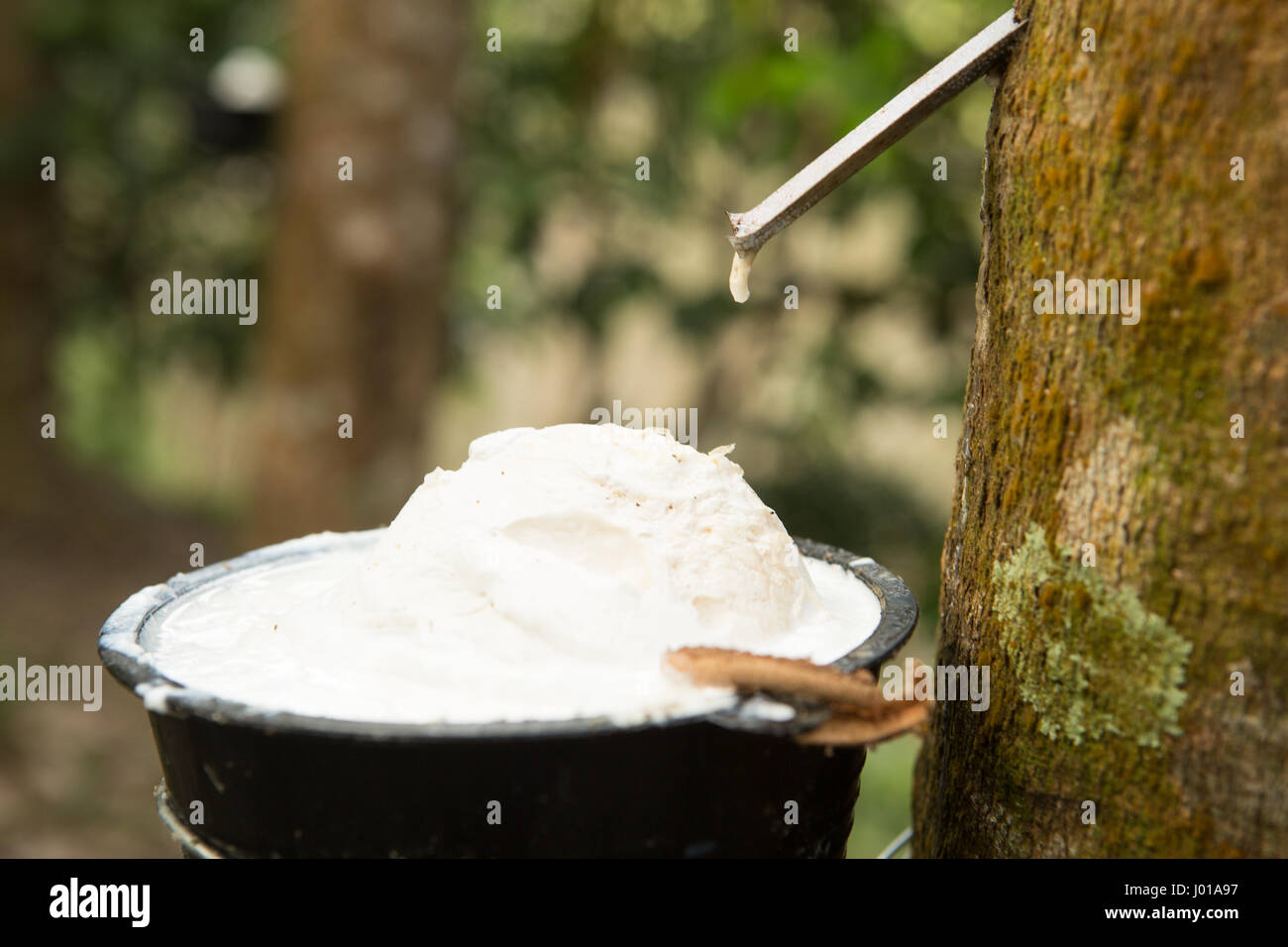 Polymers rubber hi-res stock photography and images - Alamy