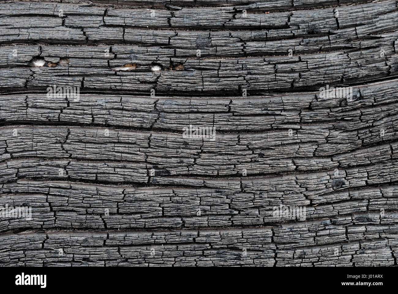 Surface of charred wood as a background Stock Photo - Alamy