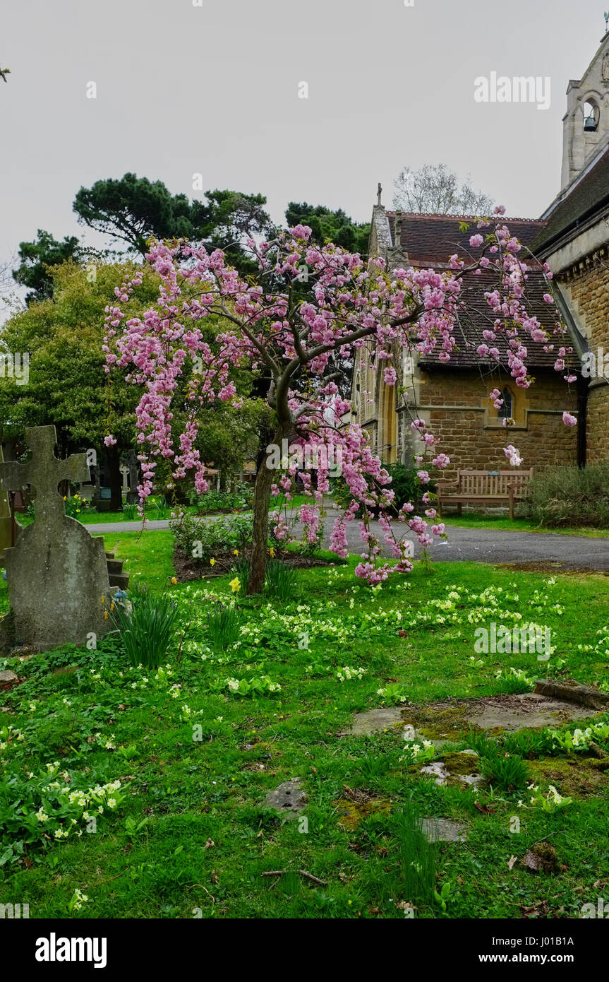 Long Ditton Stock Photos & Long Ditton Stock Images - Alamy