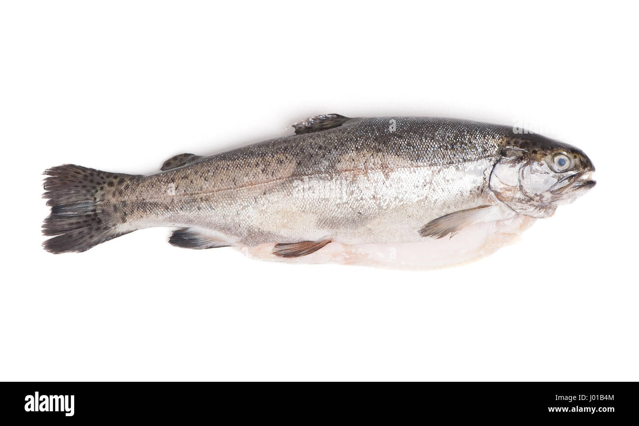 Gutted trout isolated on white background Stock Photo - Alamy