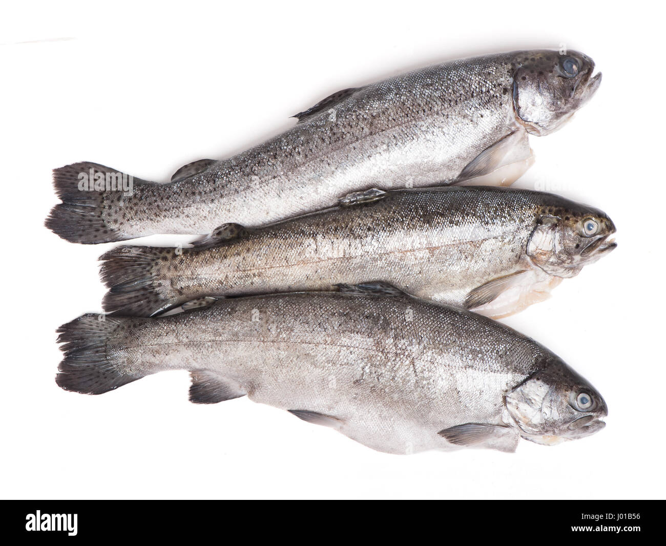 Gutted trout fishes isolated on white background Stock Photo - Alamy