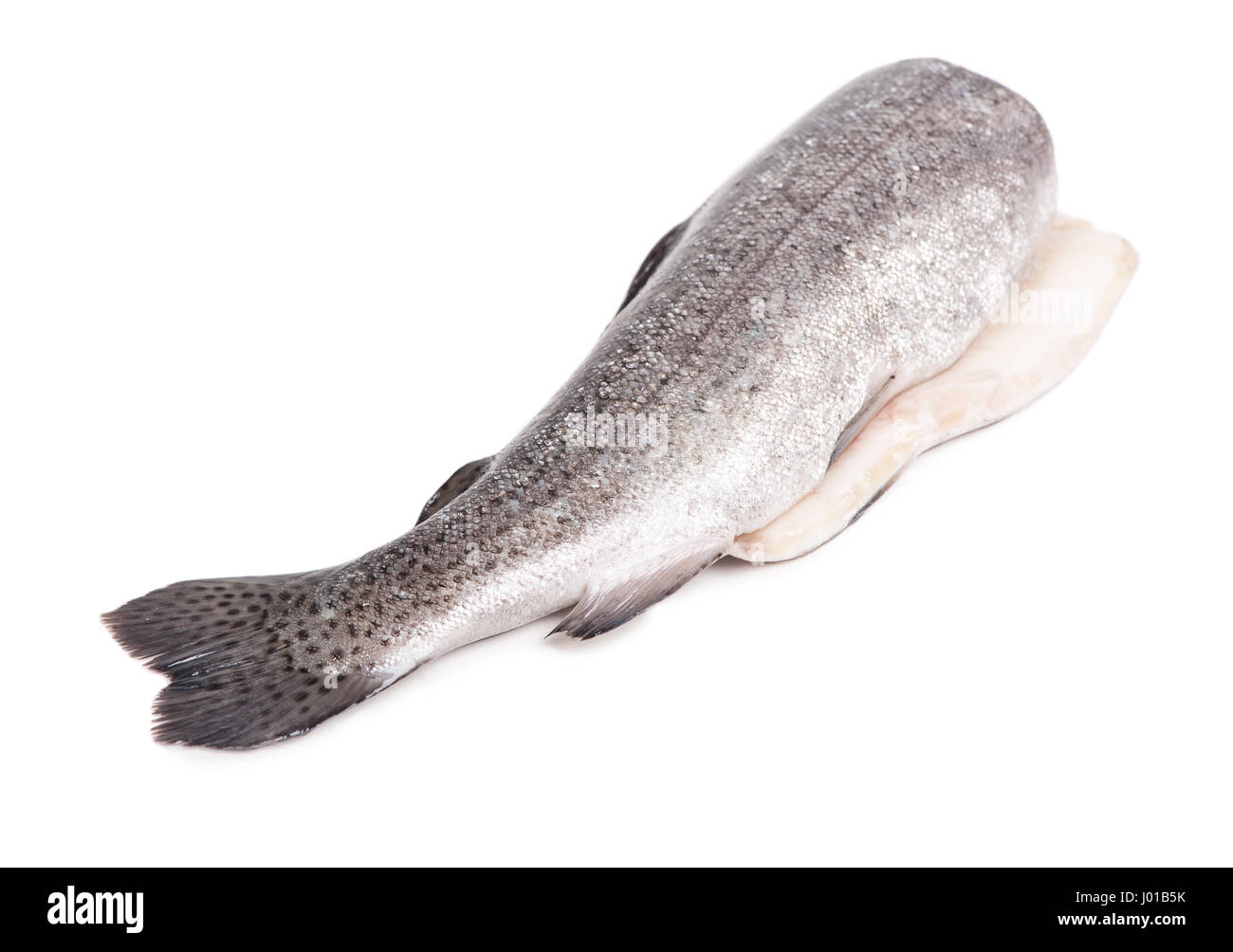 Gutted trout fish isolated on white background Stock Photo - Alamy