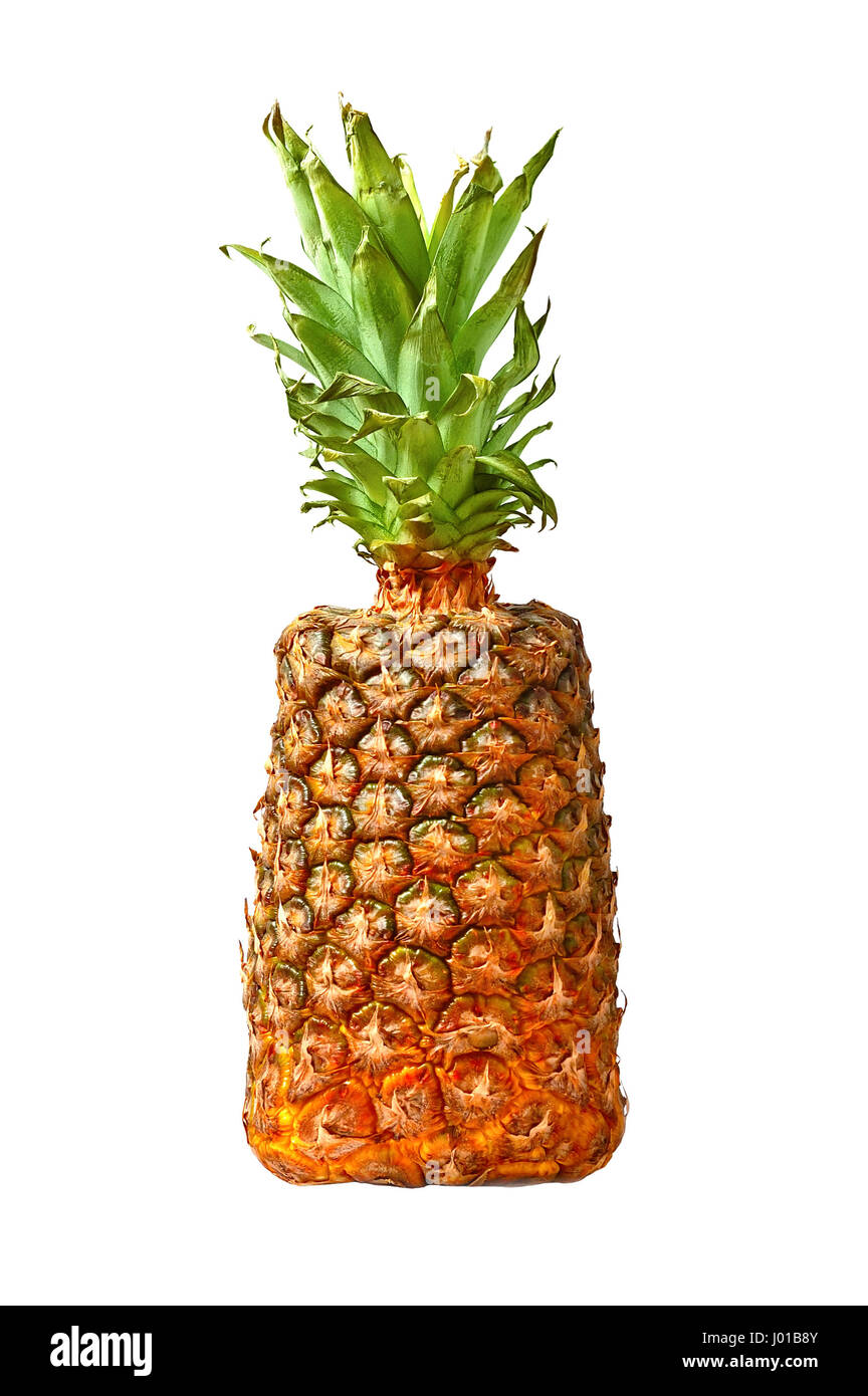 Square pineapple isolated on white background Stock Photo - Alamy