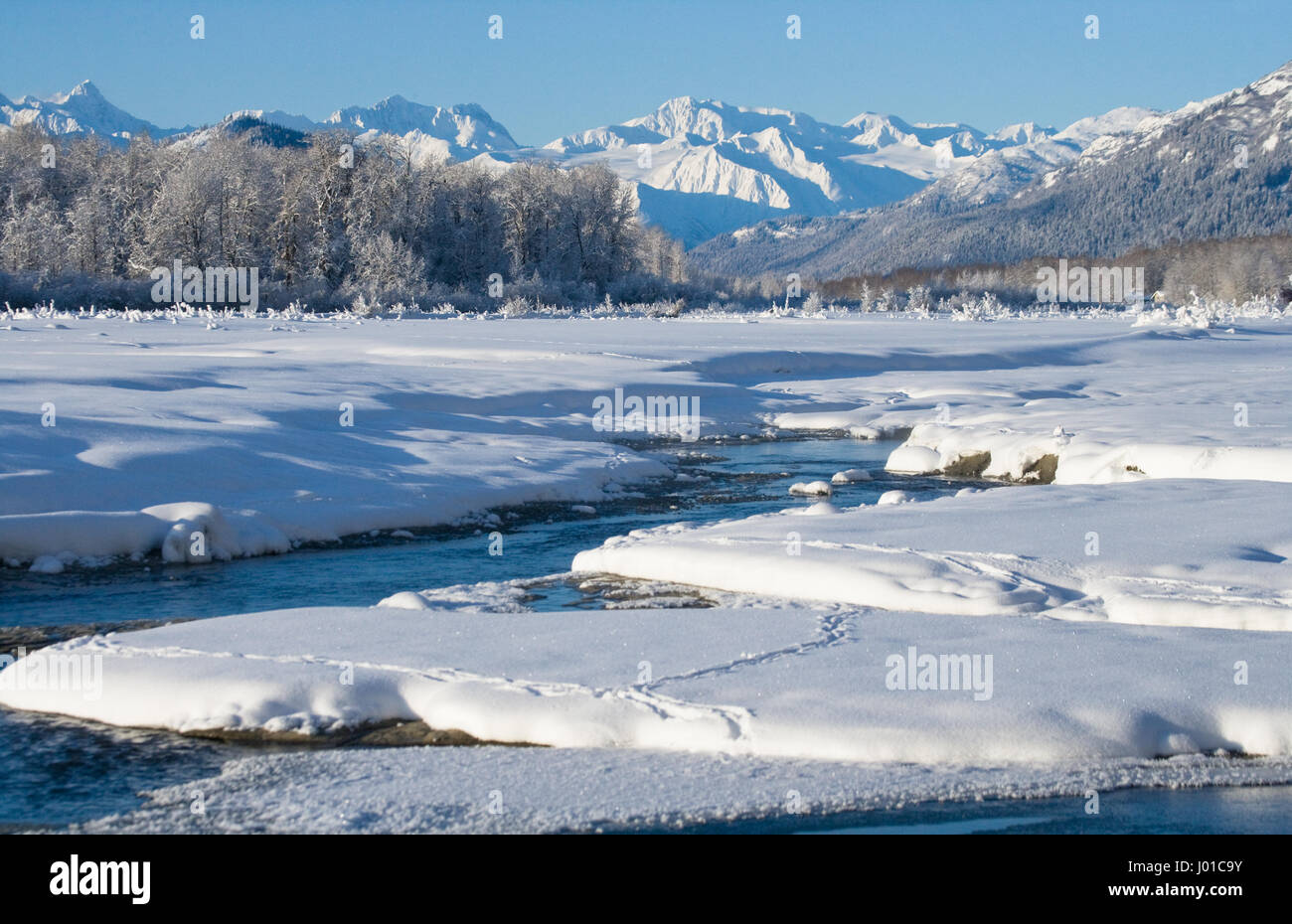 Winter landscape. USA. Alaska. Chilkat River Stock Photo - Alamy