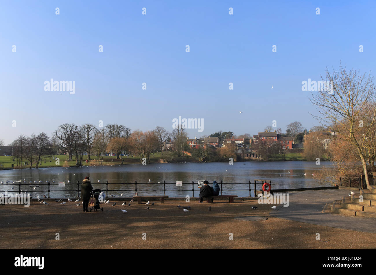 The Mere lake pond at Diss, Norfolk, England, UK Stock Photo - Alamy