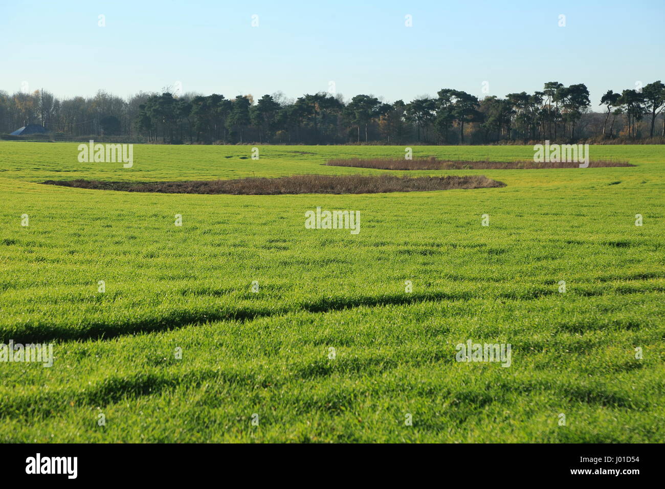 Depression hollow in field, Shottisham Suffolk, England, UK Stock Photo ...