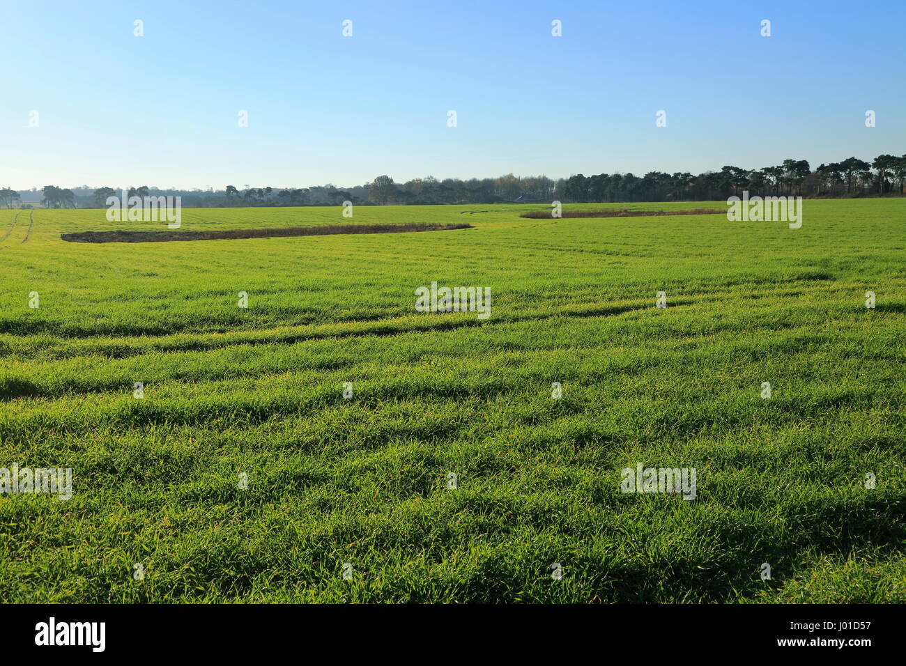 Waterlogged depression hi-res stock photography and images - Alamy