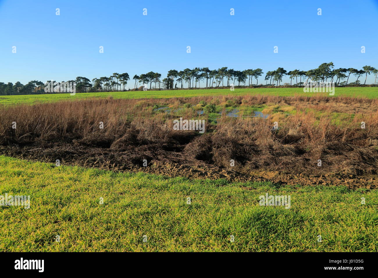 Depression hollow in field, Shottisham Suffolk, England, UK Stock Photo ...