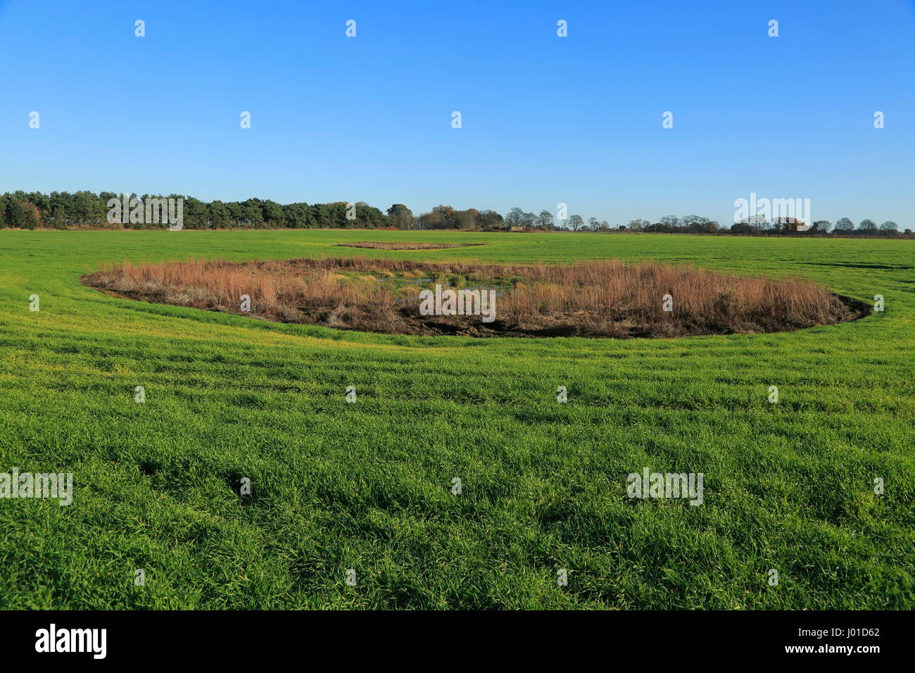 Waterlogged depression hi-res stock photography and images - Alamy