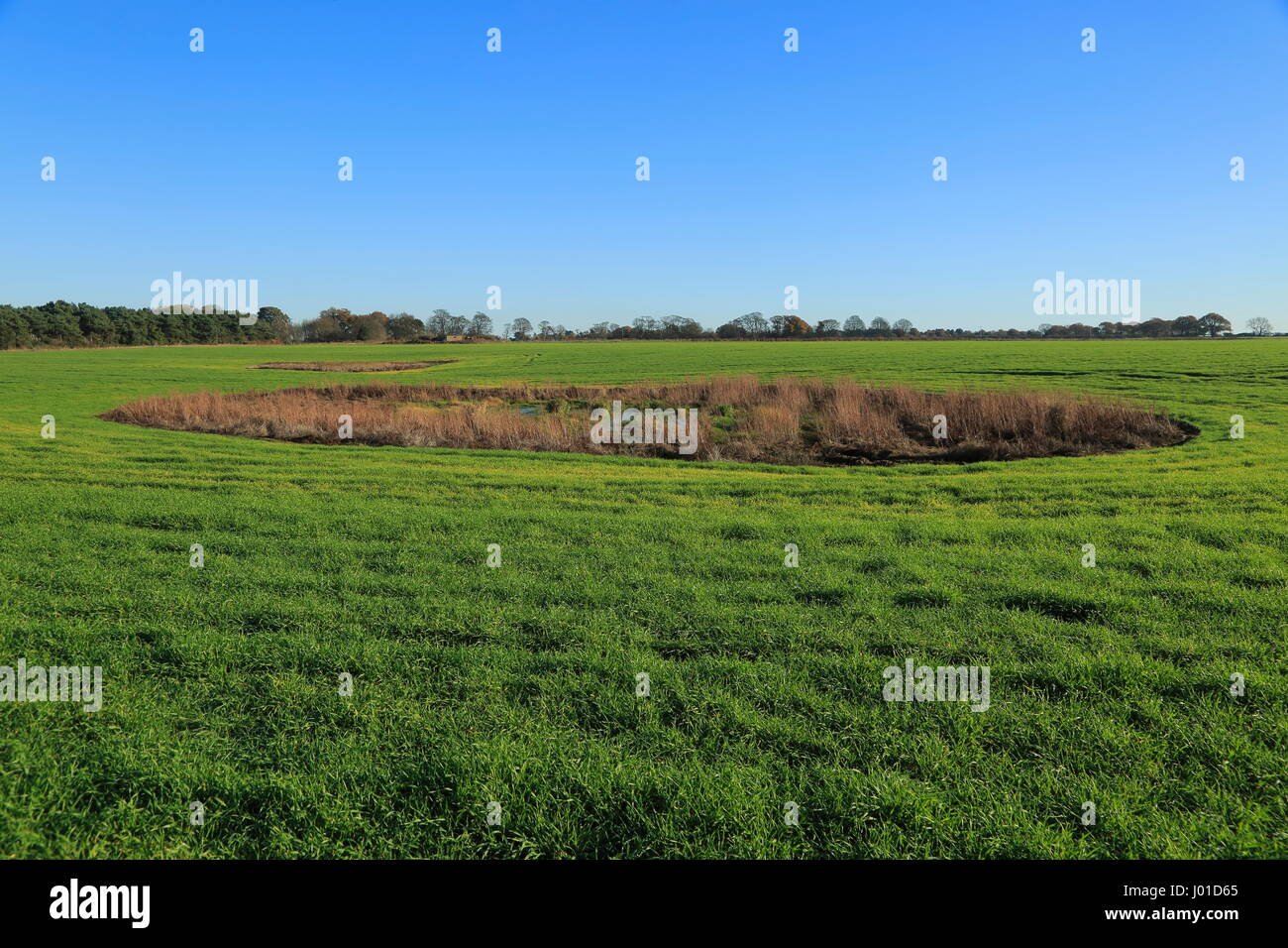 Depression hollow in field, Shottisham Suffolk, England, UK Stock Photo ...