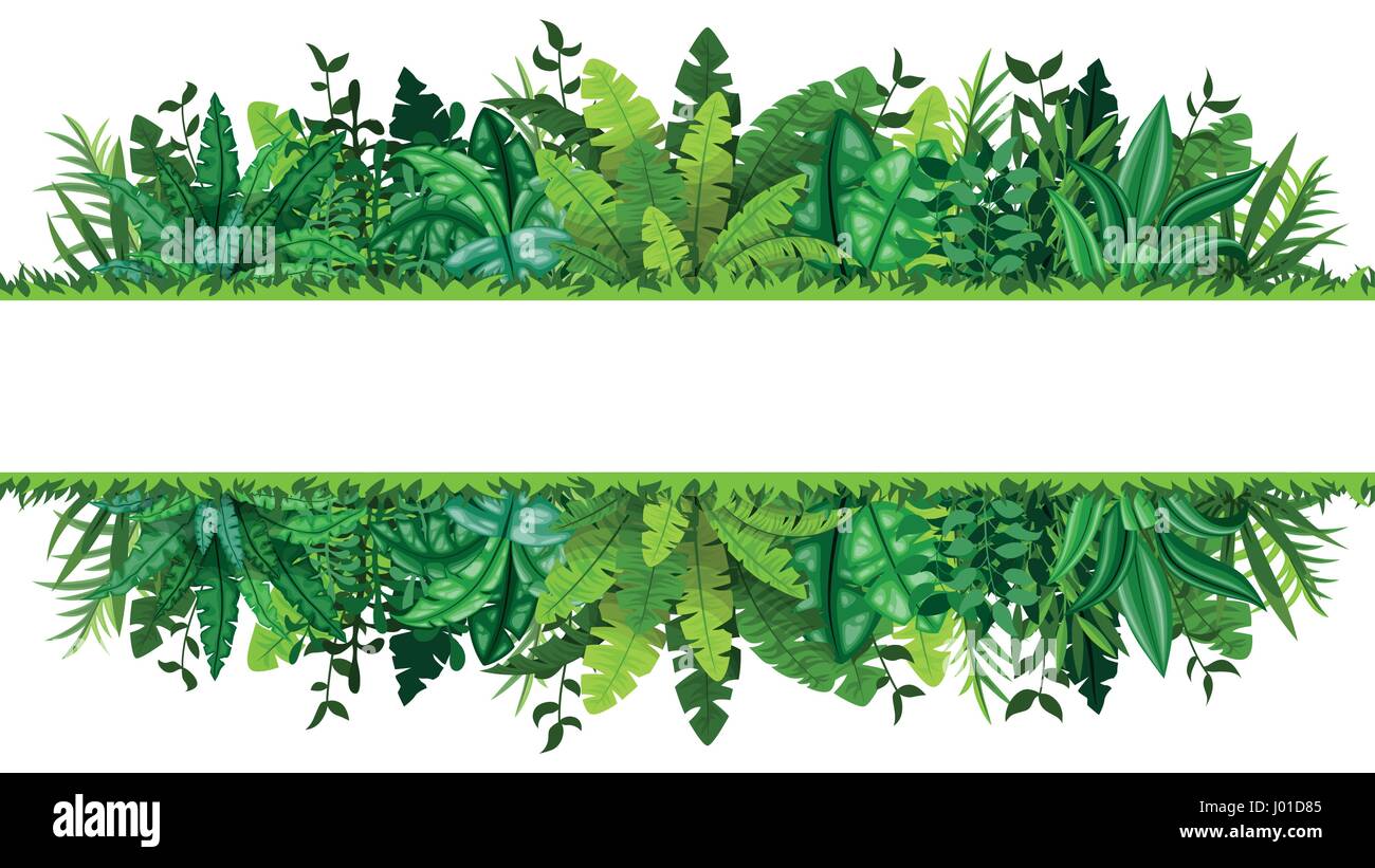 Illustration of a tropical rainforest banner Stock Vector Image & Art ...