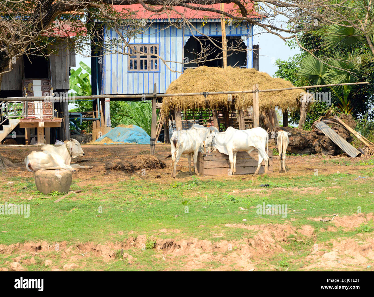 Rural settlements hi-res stock photography and images - Alamy Rural settlements hi-res stock photography and images - Alamy