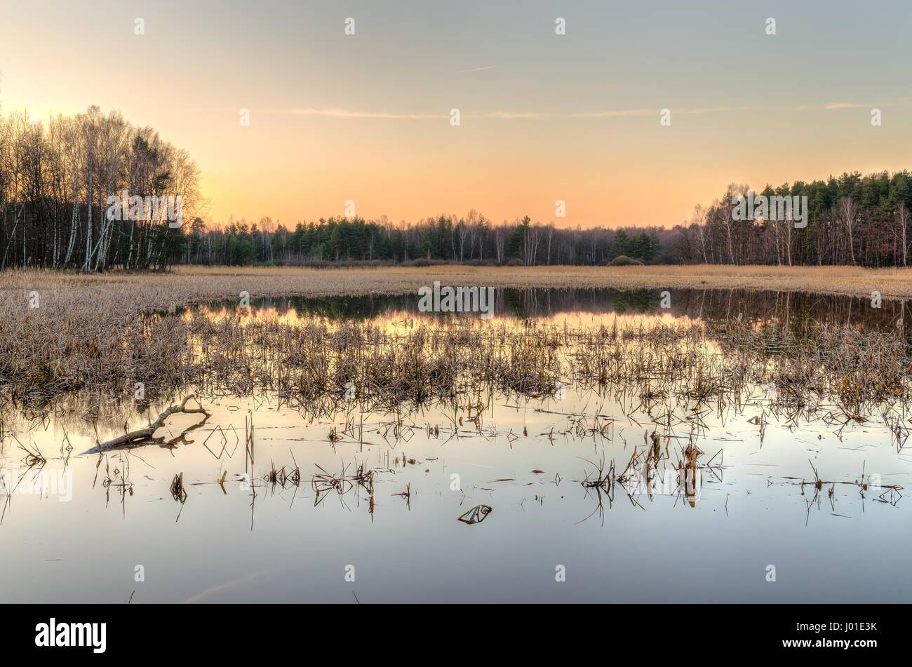 Landscape pond hi-res stock photography and images - Alamy