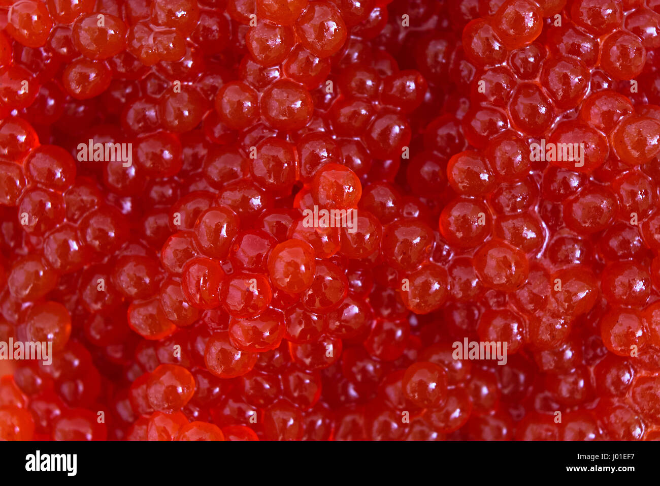 Red caviar close-up background. Background made of red caviar Stock ...