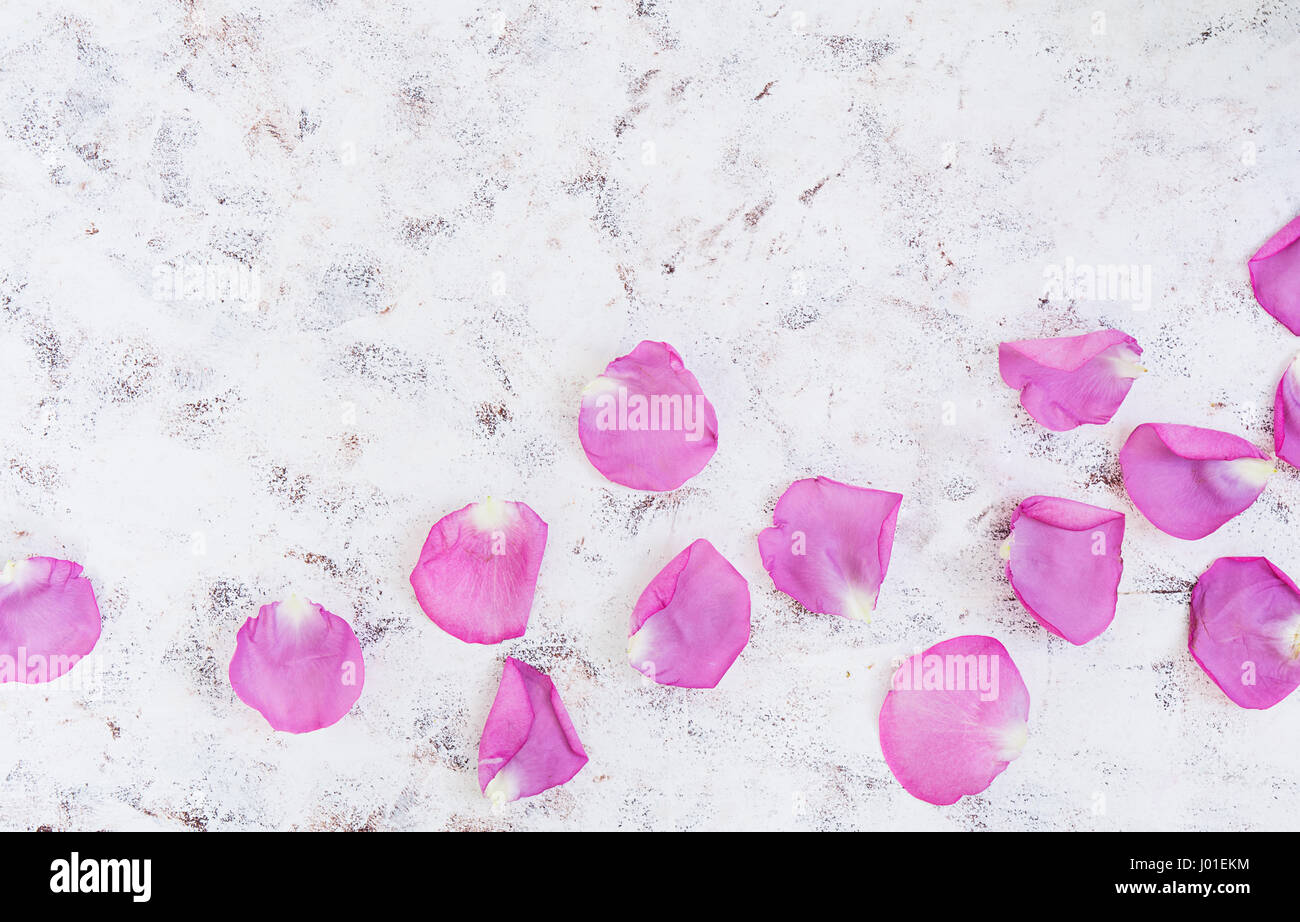 Rose petals on white background. Top view Stock Photo - Alamy