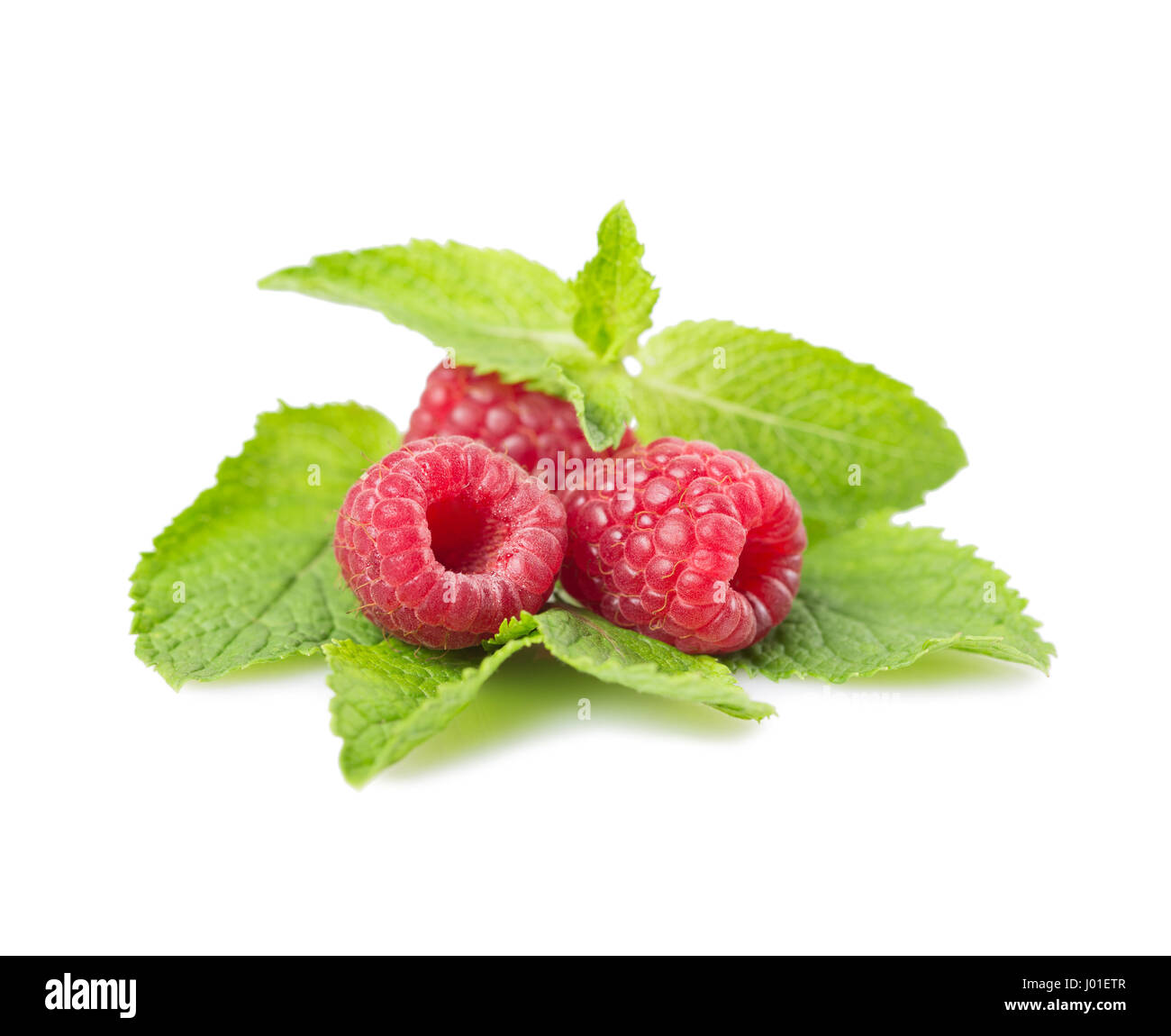 Raspberries and mint leaves on a white background. Isolated Stock Photo ...
