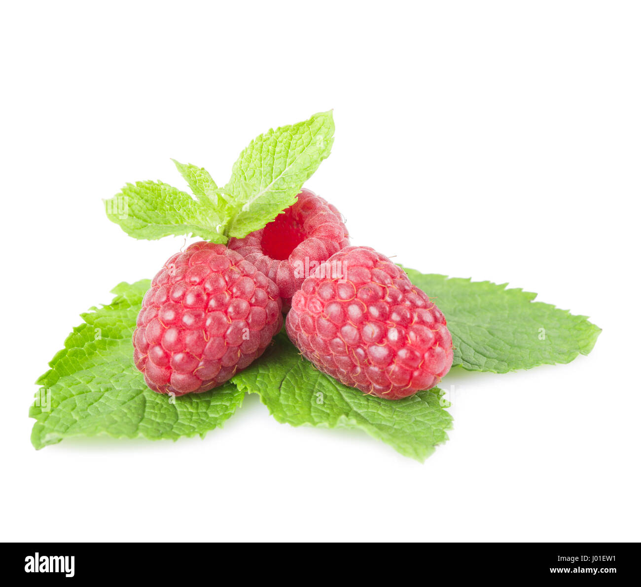 Raspberries and mint leaves on a white background. Isolated Stock Photo ...