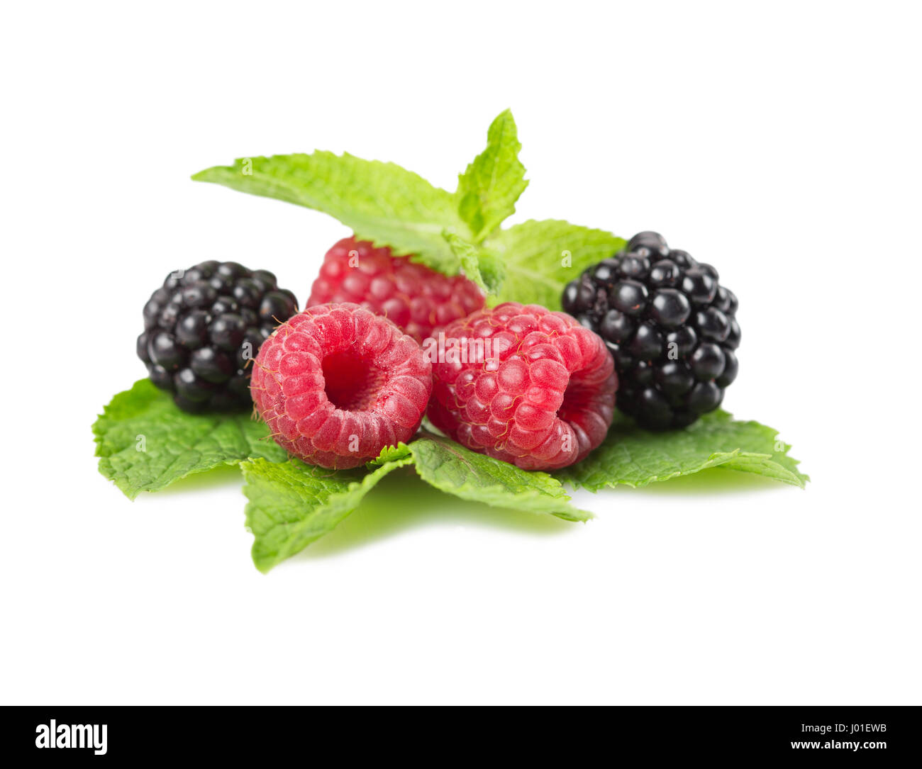 Mix of different berries on a white background. Isolated Stock Photo ...