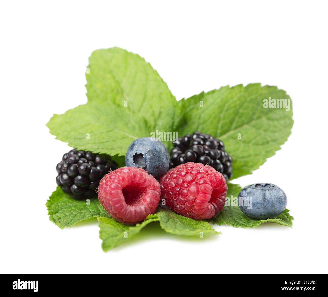 Mix of different berries on a white background. Isolated Stock Photo ...