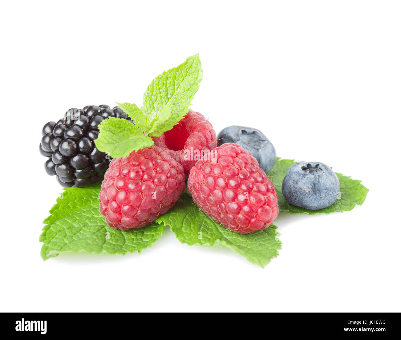 Mix of different berries on a white background. Isolated Stock Photo ...