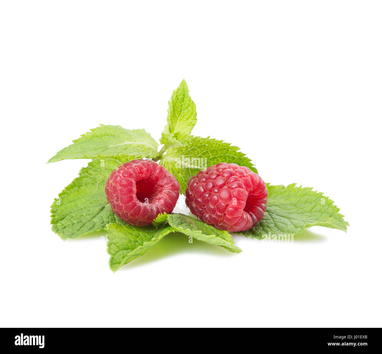 Ripe raspberries mint leaves Cut Out Stock Images & Pictures - Alamy