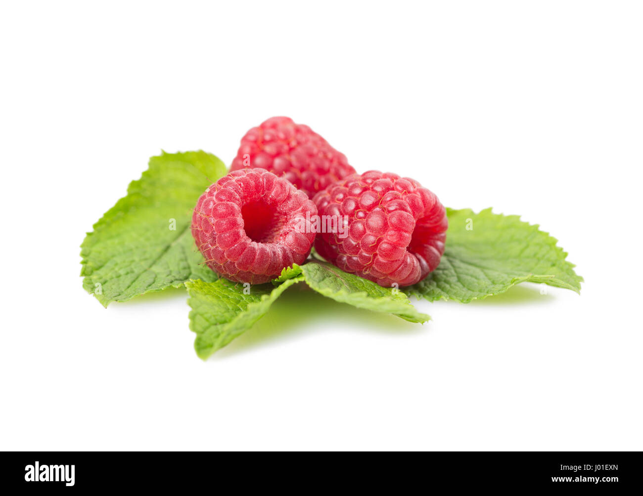 Raspberries and mint leaves on a white background. Isolated Stock Photo ...
