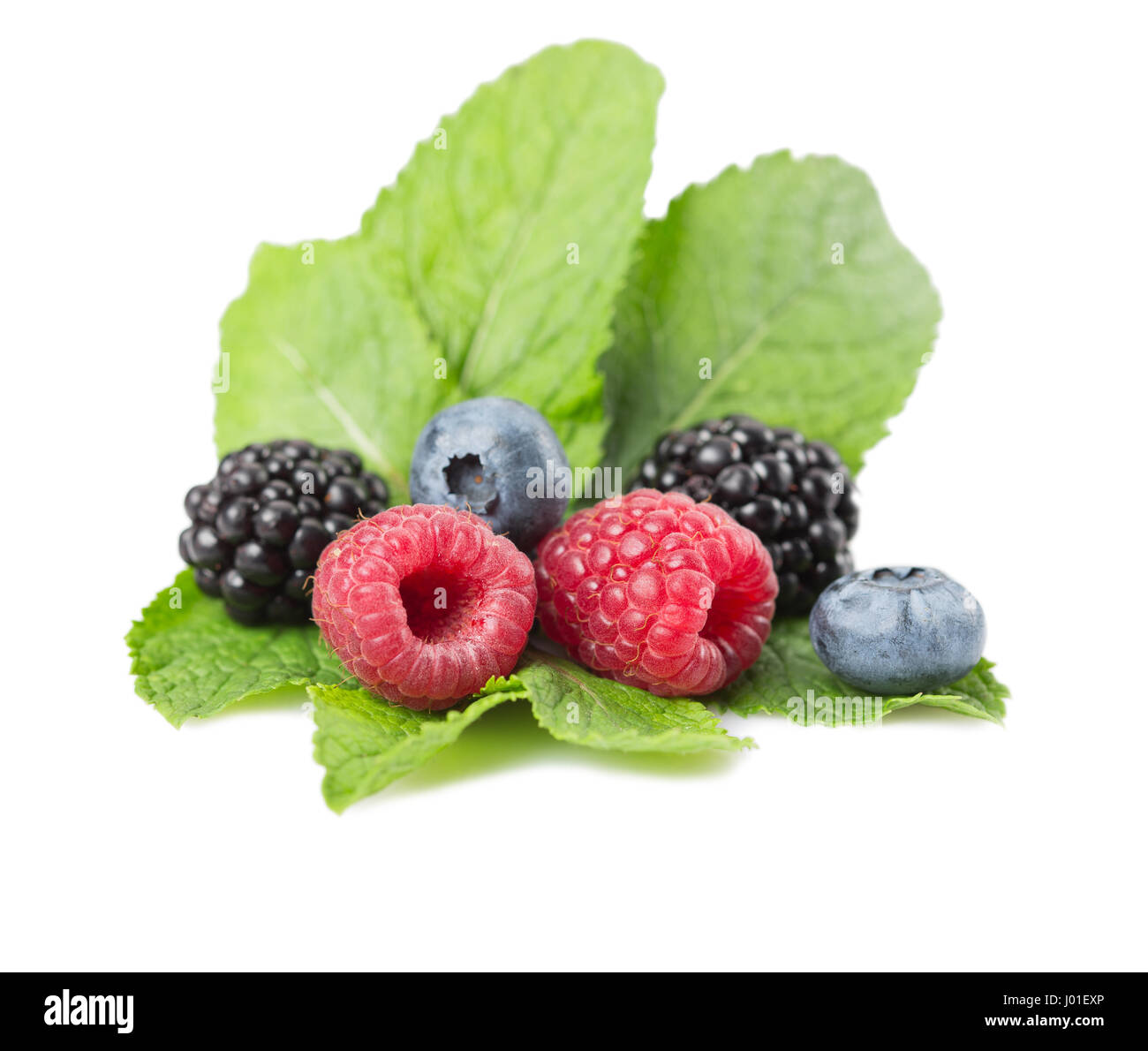 Mix of different berries on a white background. Isolated Stock Photo ...